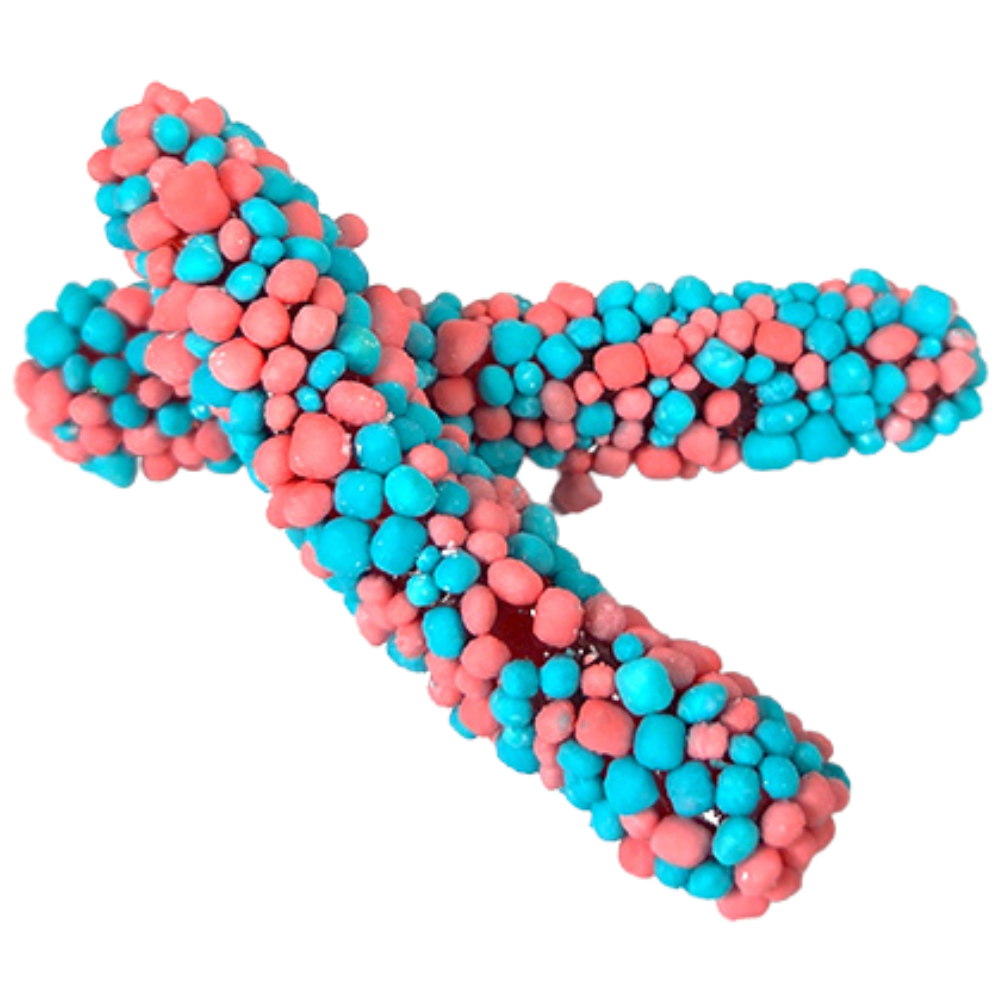 Geeks Worms Blue And Pink Wholesale Bulk Box By Sweeds Candy