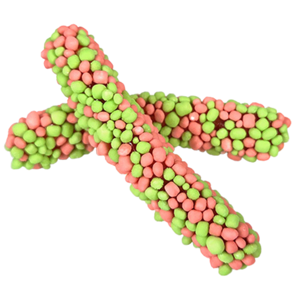 Geeks Worms Green And Pink Wholesale Bulk Box By Sweeds Candy